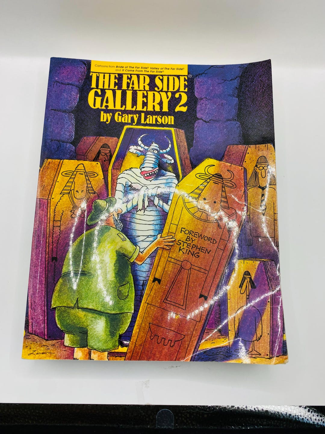 Far Side Gallery 2 & 4: Gary Larson Cartoon Books (set of Two) - Etsy ...