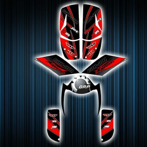Can Am Ds650 Stickers - Graphics Kit - Decals Canam Ds 650 Atv Graphics 