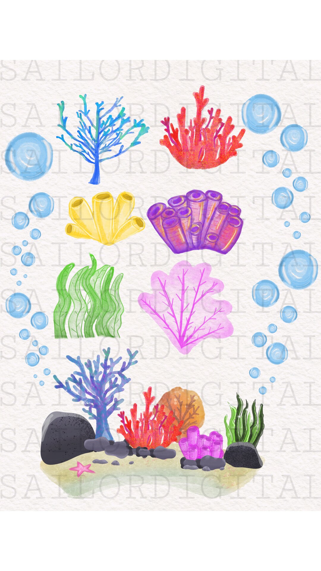 Coral and Shell Bundle PNG/JPG - Etsy