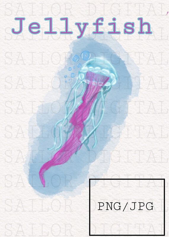 Scyphozoa
