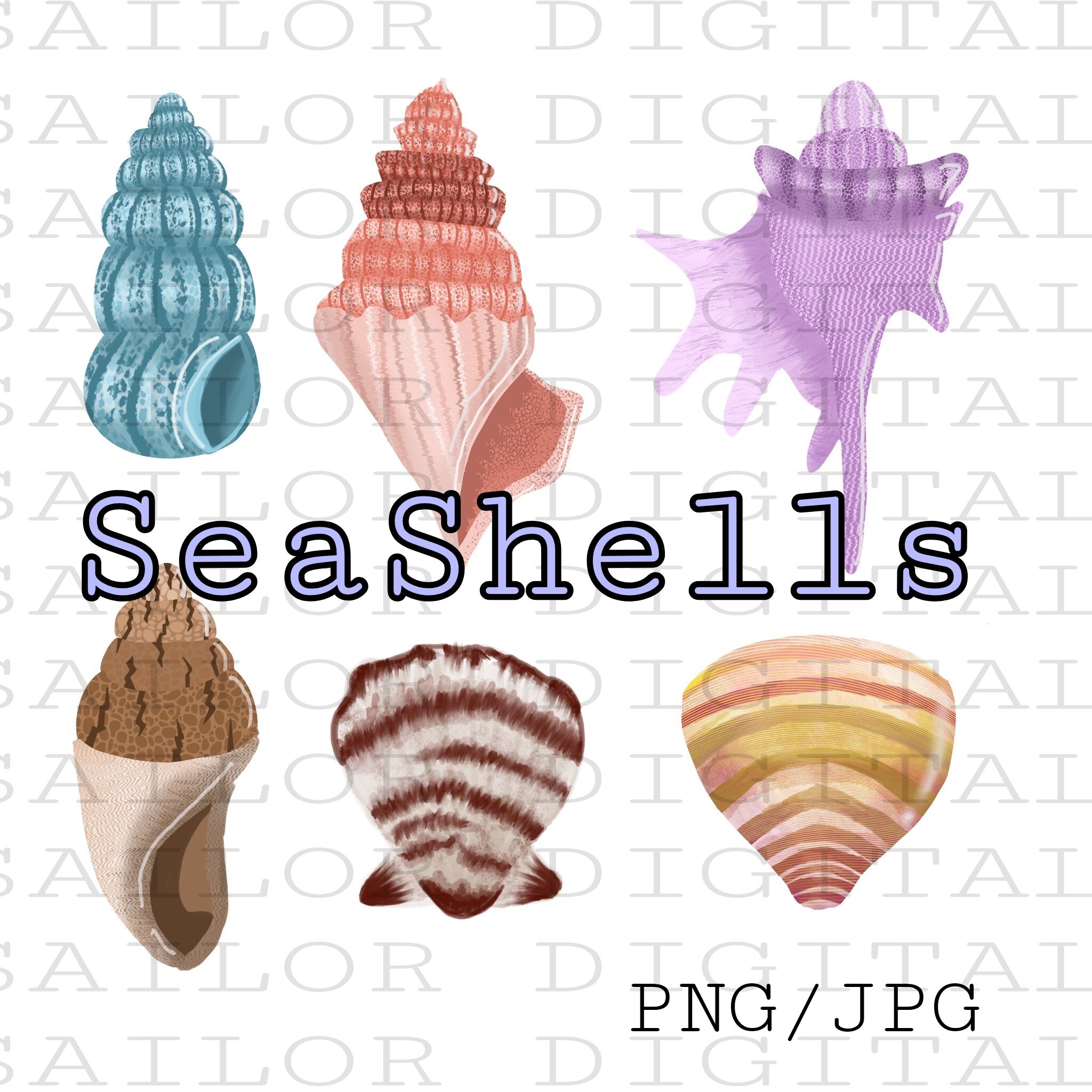 Coral and Shell Bundle PNG/JPG - Etsy