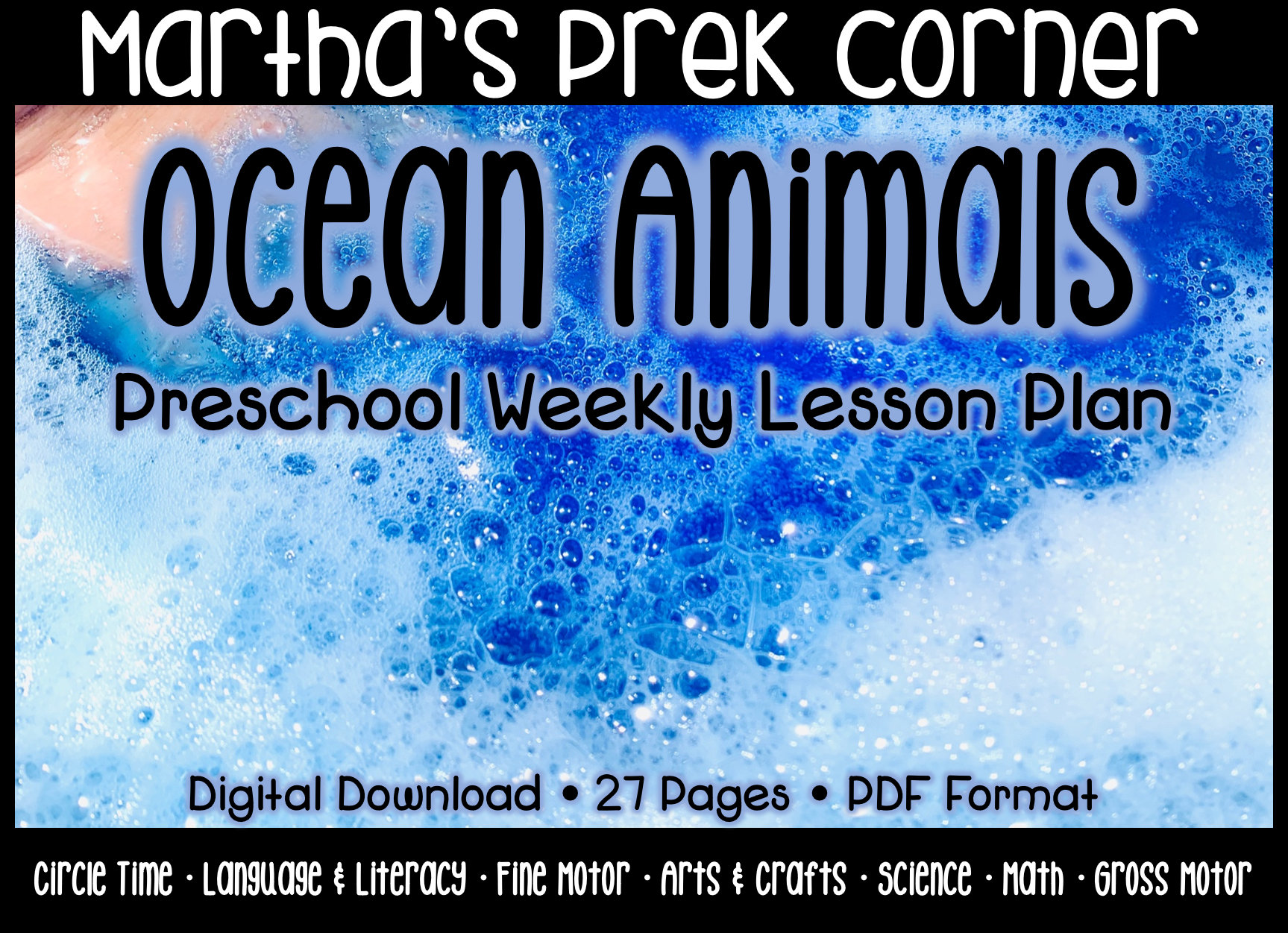 Ocean Animals Preschool Lesson Plan - Etsy