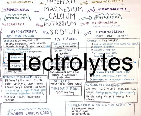 Complete Set of Electrolyte Notes | Etsy