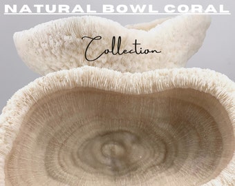 Coral Bowl | Etsy