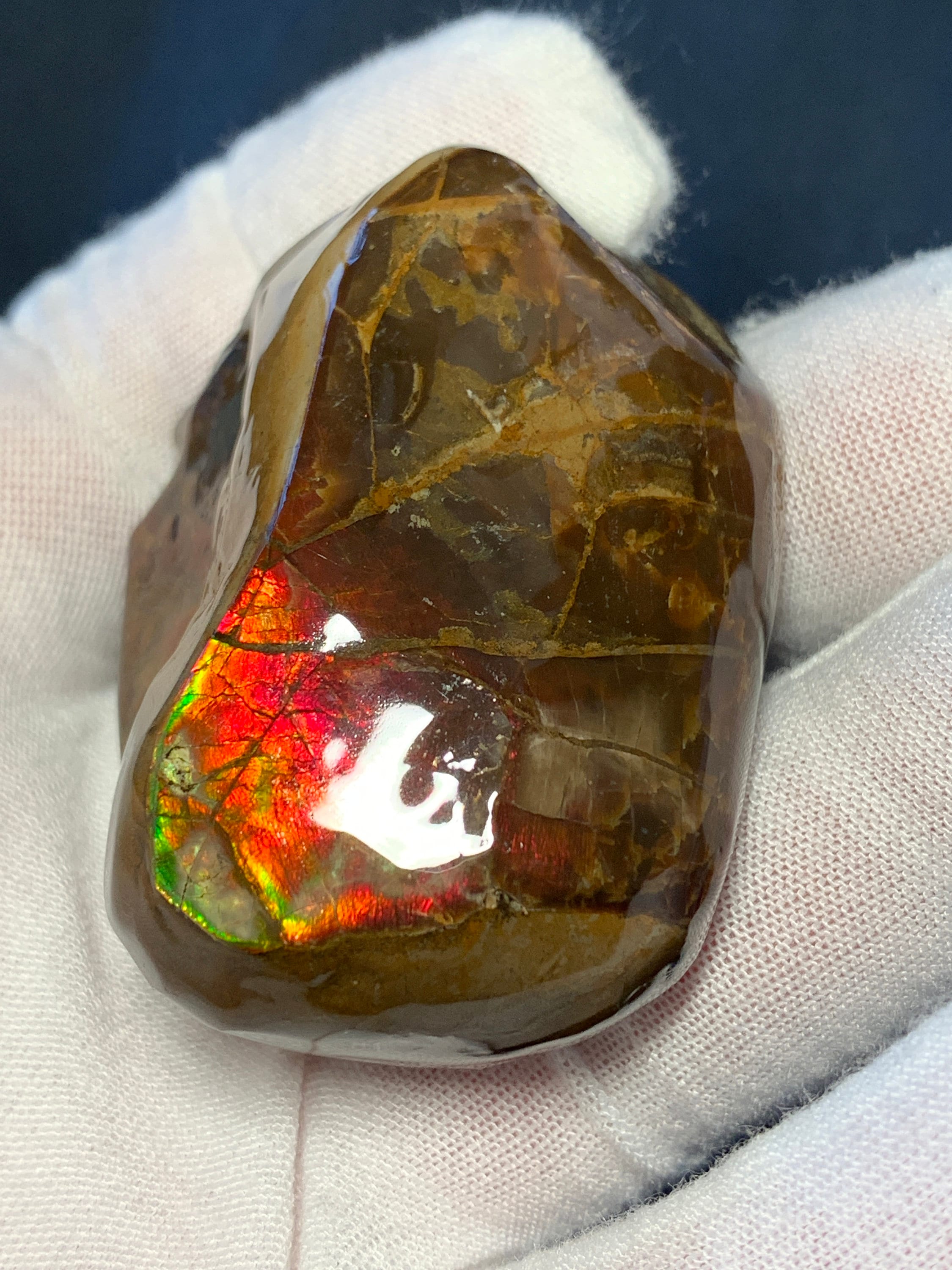 Canadian Ammolite Freeform - Etsy