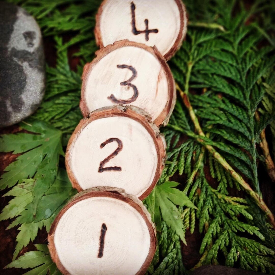 Numbered Log Slices for Number Recognition Skills. Early Maths. EYFS ...