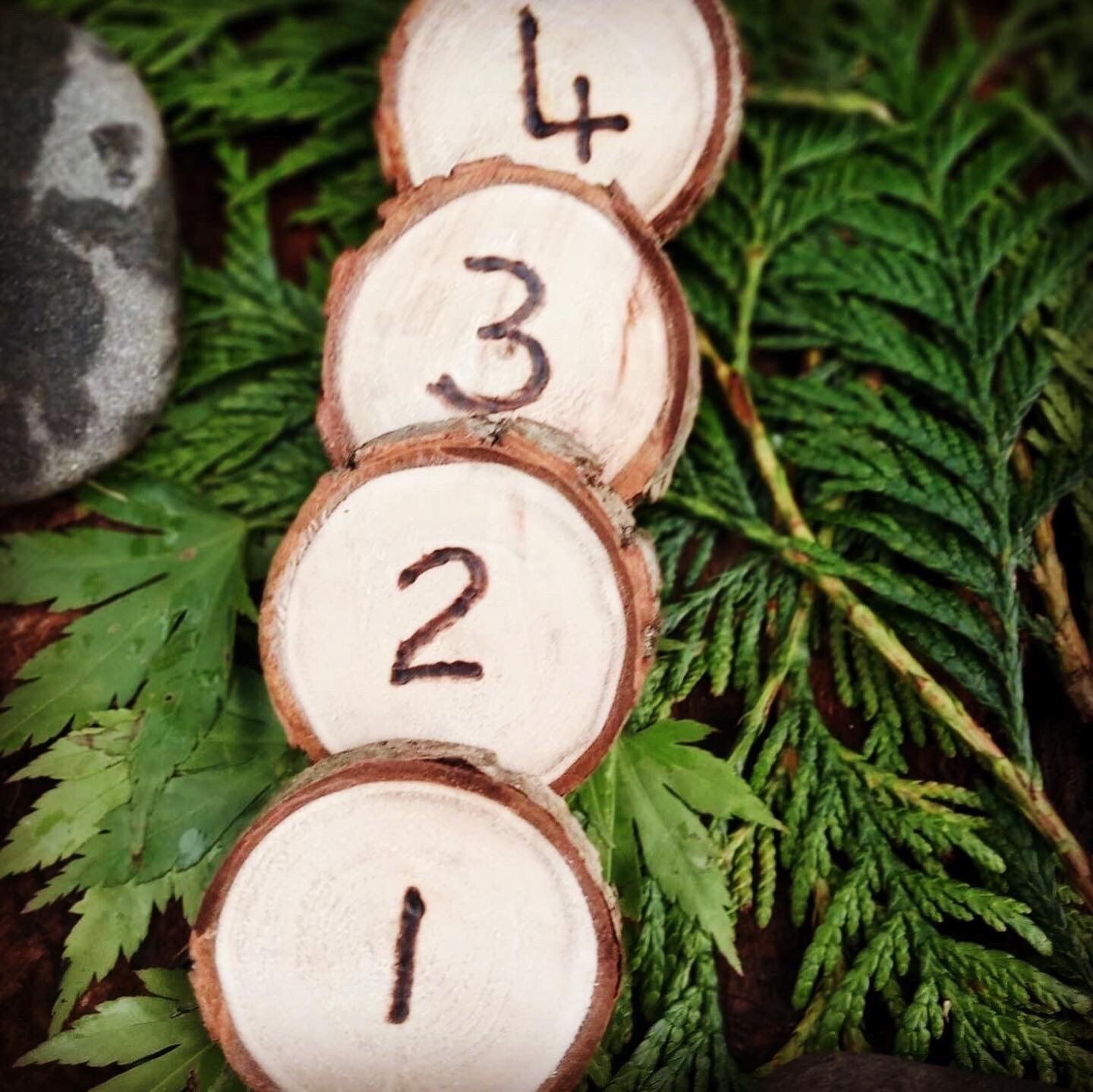 Numbered Log Slices for Number Recognition Skills. Early - Etsy UK