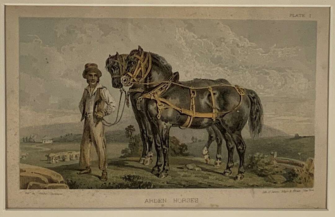 Antique Lithograph of Arden Horses Printed by Sarony Major & Knapp, New ...