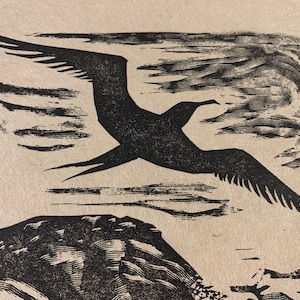 VINTAGE WOODBLOCK PRINT Seagull by the Bluffs - Etsy