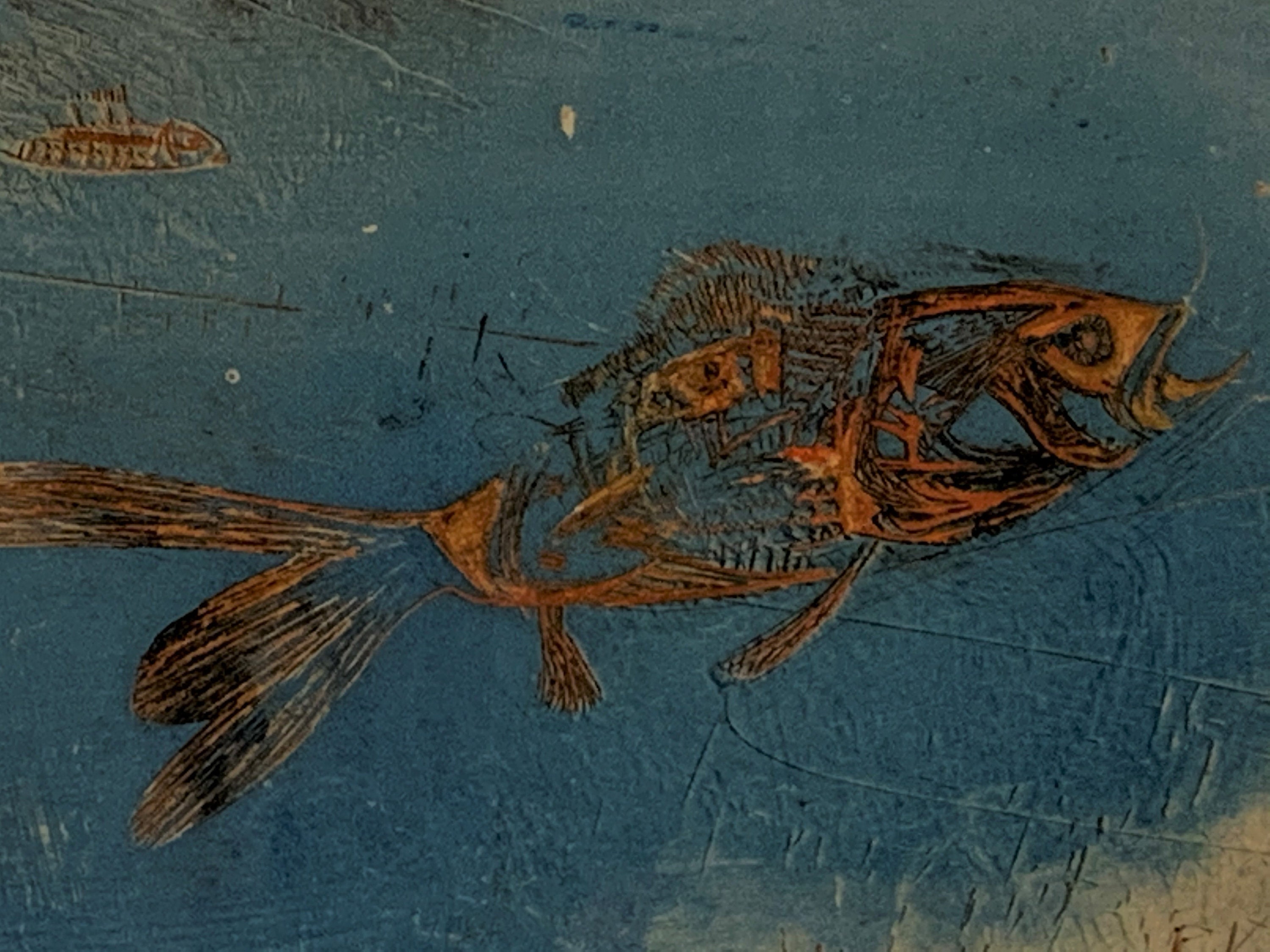 KAIKO MOTI (1921-1989) Original Signed Colored Etching “fish” - Etsy