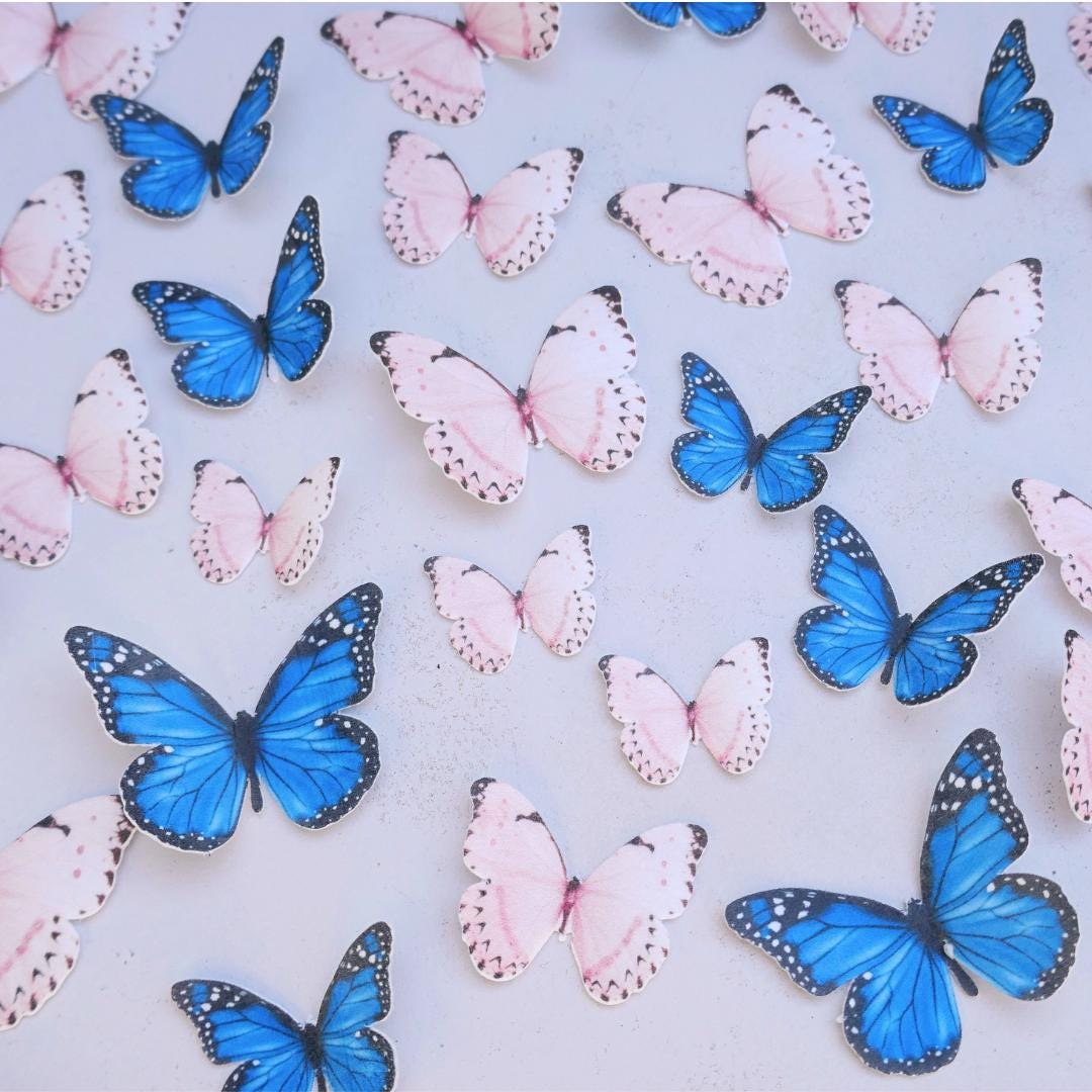 Edible Paper Butterflies Pink Blue for Butterfly Cake Cake Decoration ...