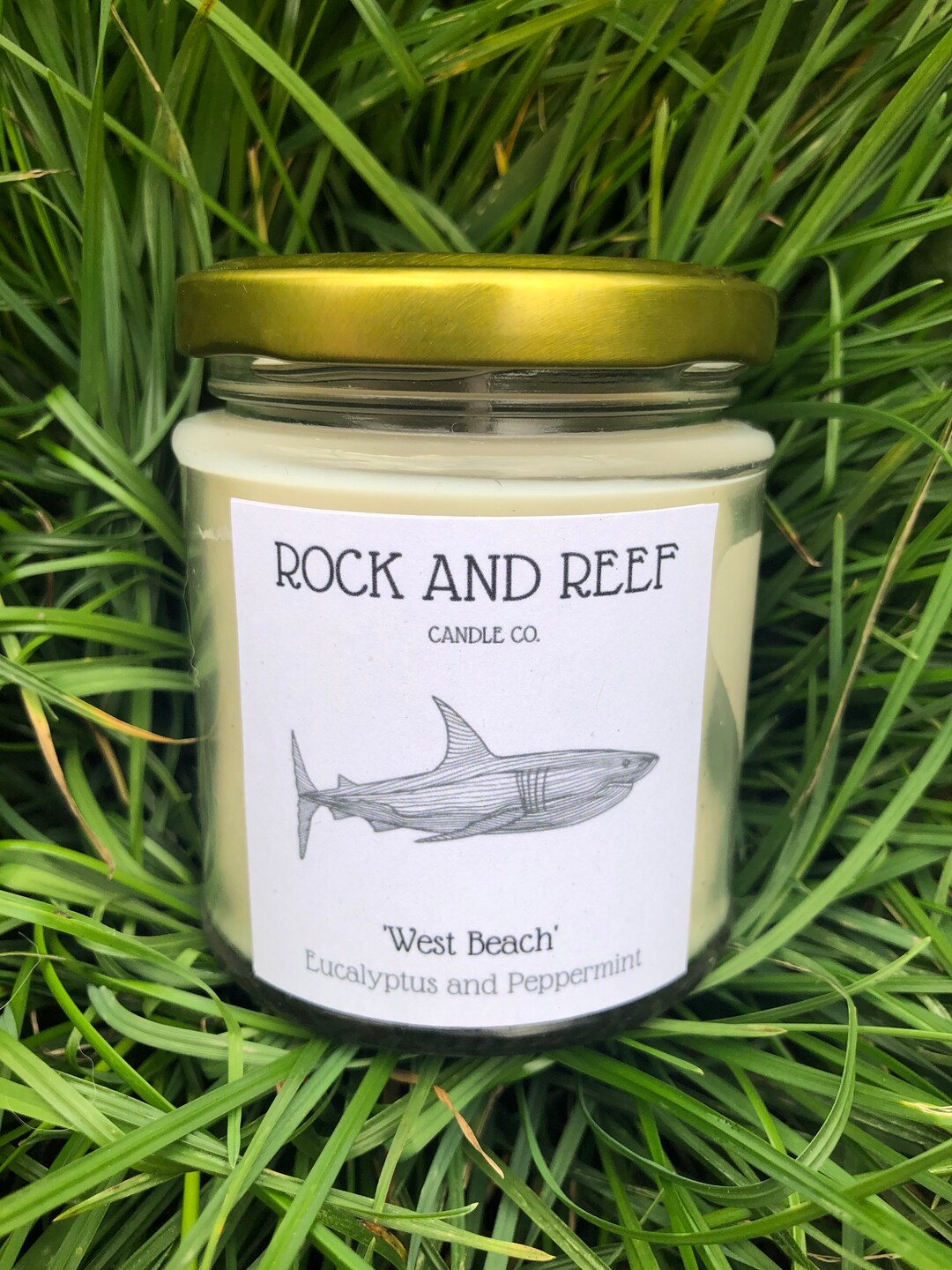 Cute Ocean Inspired Candle Eucalyptus and Peppermint Shark Candle Gift ...