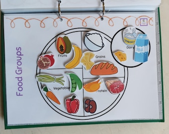 Food Group Sorting Game Preschool Homeschool Activity Busy - Etsy