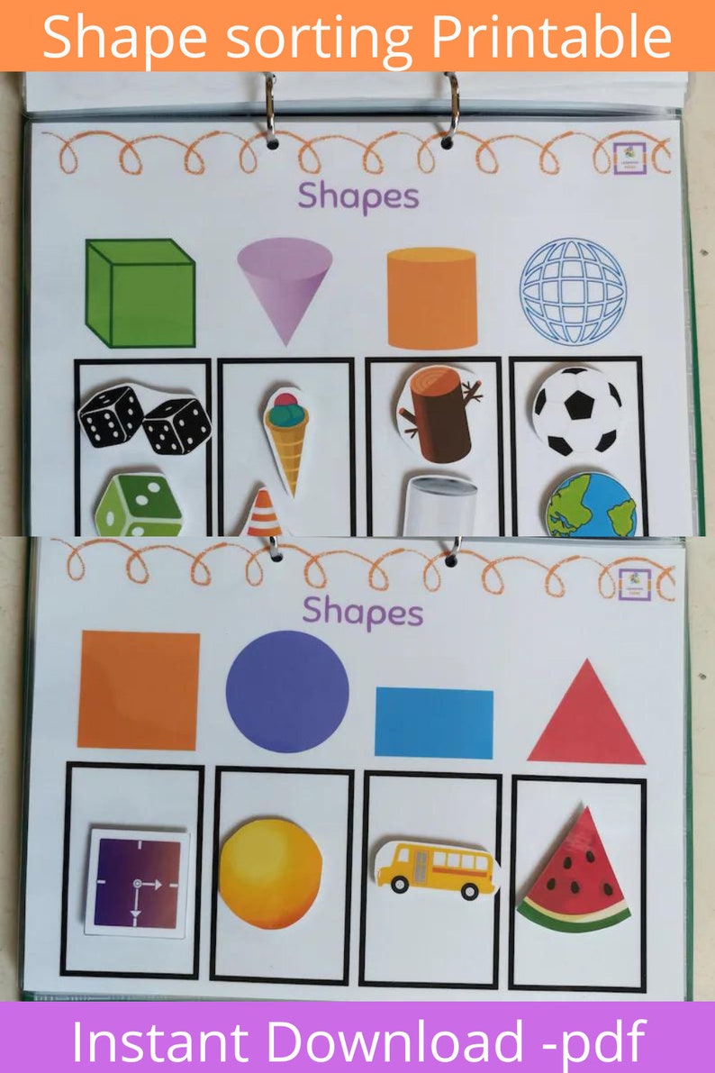 2D Shapes Learning , 3D Shapes Sorting Montessori, Sort by Shape ...