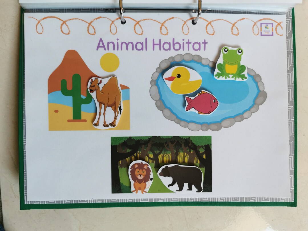 Animal Habitat Busy Binder Activity, Match Animal to Home, Geography ...
