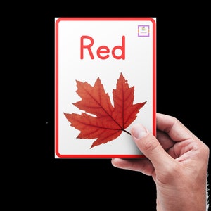 Autumn Flashcards Fall Alphabet Flashcards Digital - Etsy