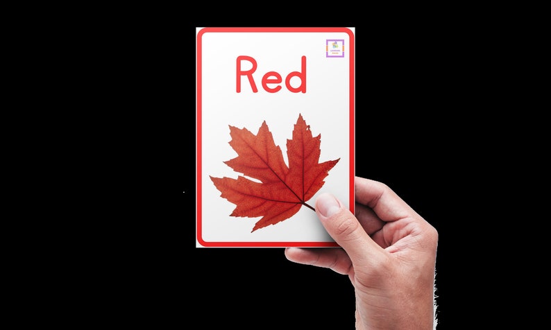 Autumn Flashcards Fall Alphabet Flashcards Digital - Etsy