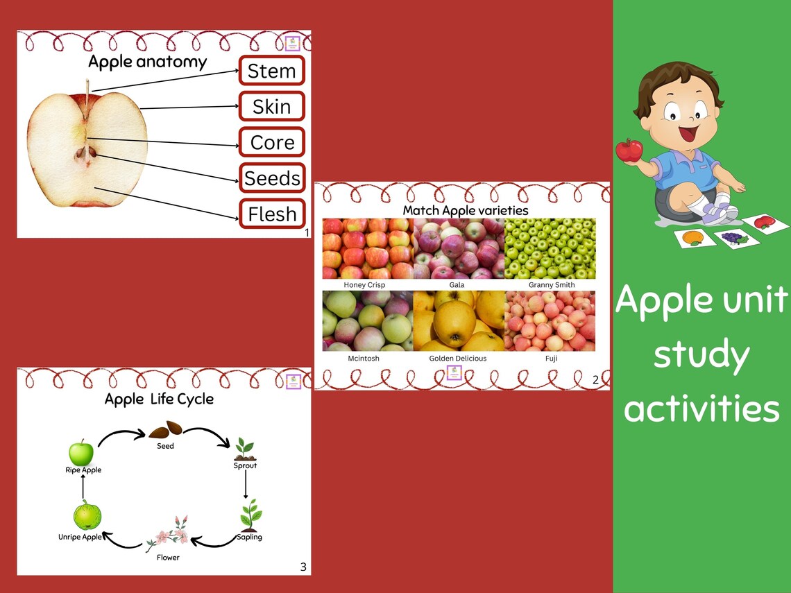 Apple Unit Study Apple Theme Prek Busy Book Preschool - Etsy Canada