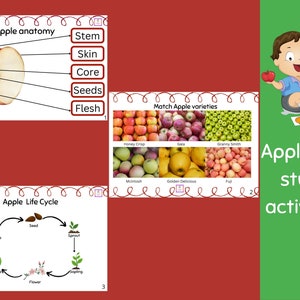 Apple Unit Study, Apple Theme Prek Busy Book, Preschool Curriculum ...