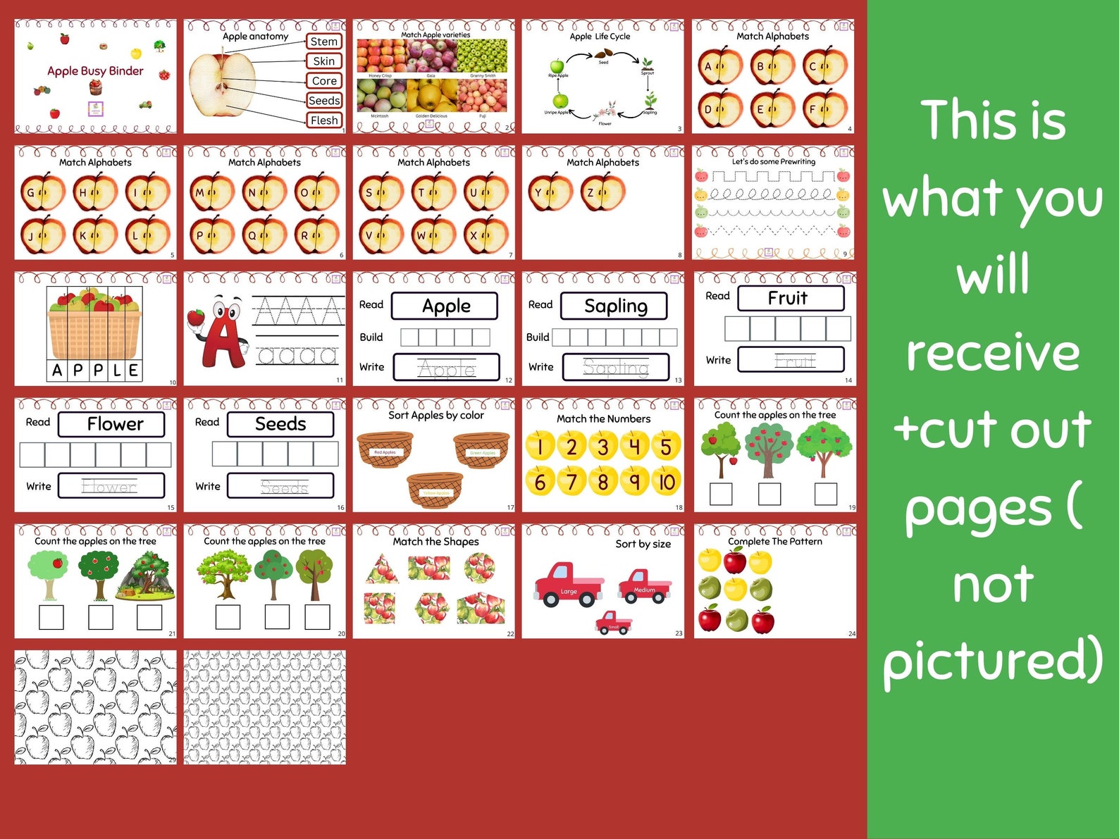 Apple Unit Study Apple Theme Prek Busy Book Preschool - Etsy Canada