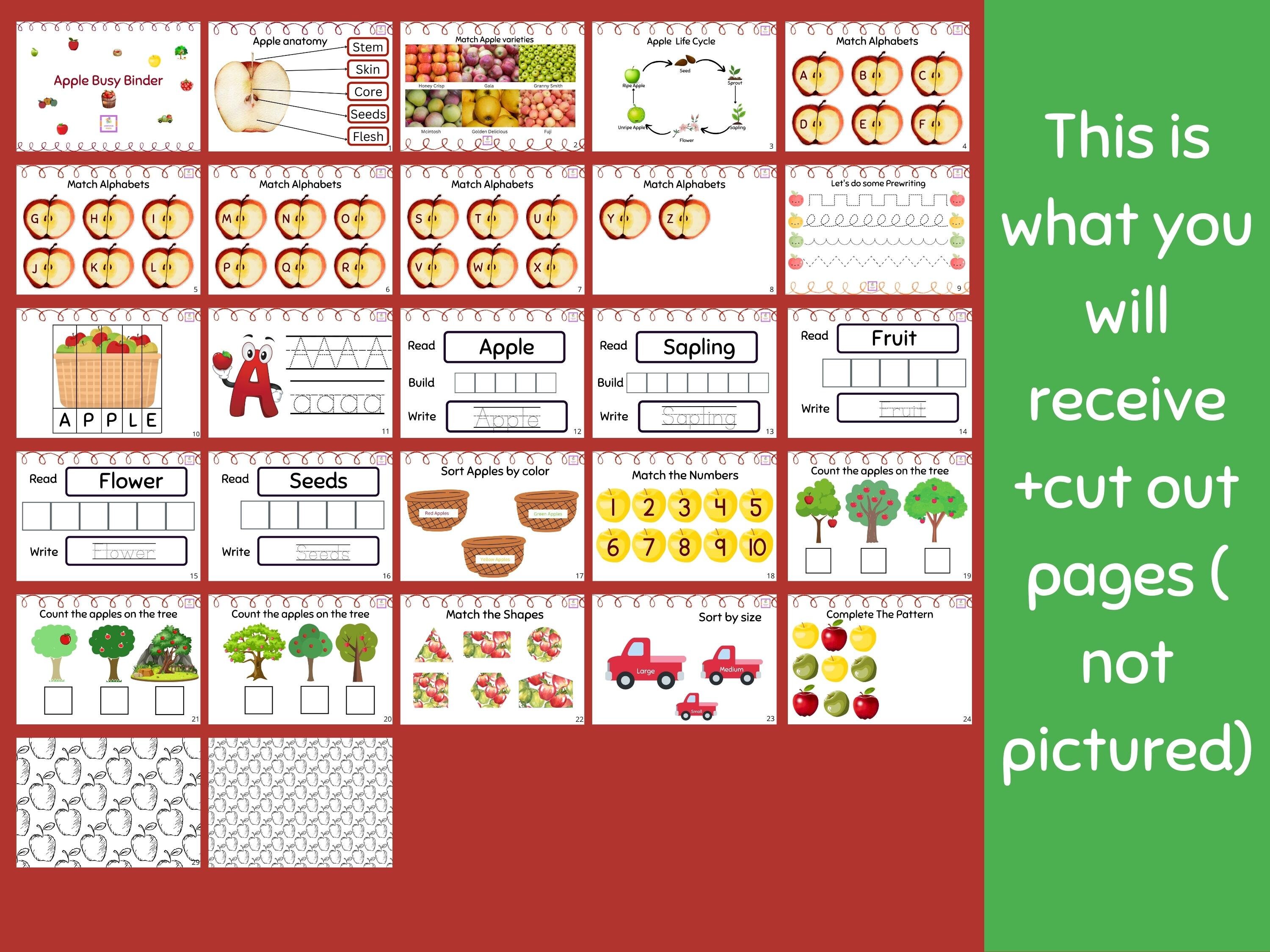 Apple Unit Study, Apple Theme Prek Busy Book, Preschool Curriculum ...