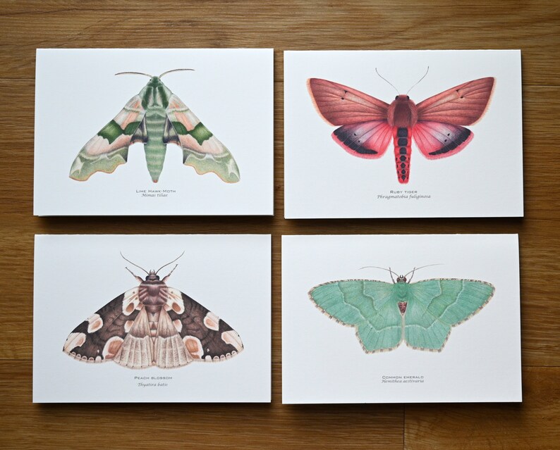 Magical Moths A6 Greeting Cards 4 Pack - Etsy