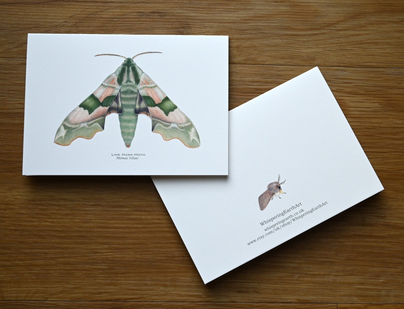 Magical Moths A6 Greeting Cards 4 Pack - Etsy
