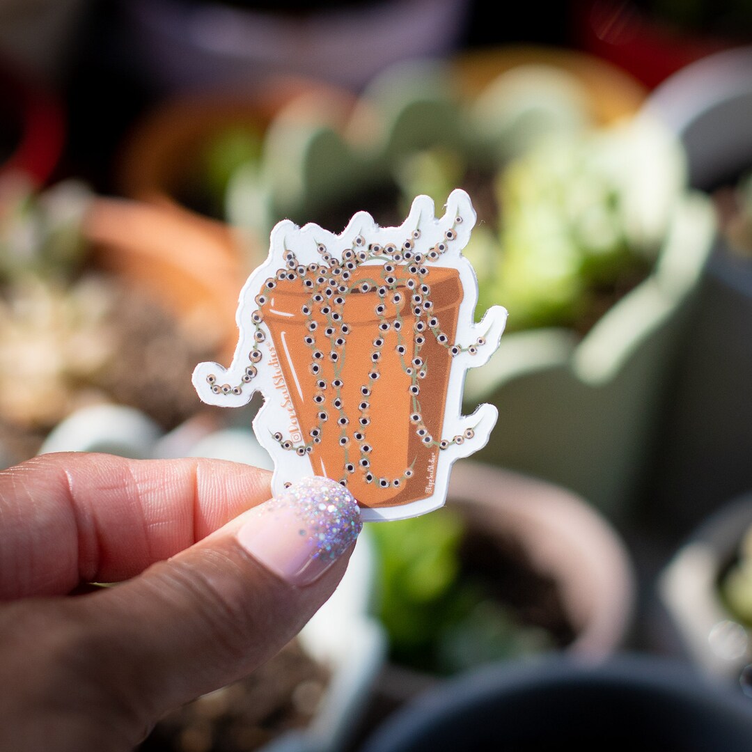 CREEPY EYEBALL VINE Plant Sticker - Etsy