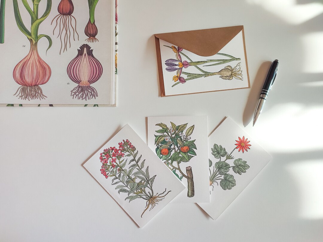 Botanical Thank You Cards, Set of 4, Floral Greeting Cards, Blank Note ...