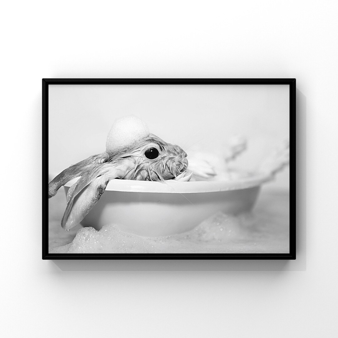 Rabbit in Bathroom, Bathroom Decor, Bathroom Accessories, Prints in UK ...