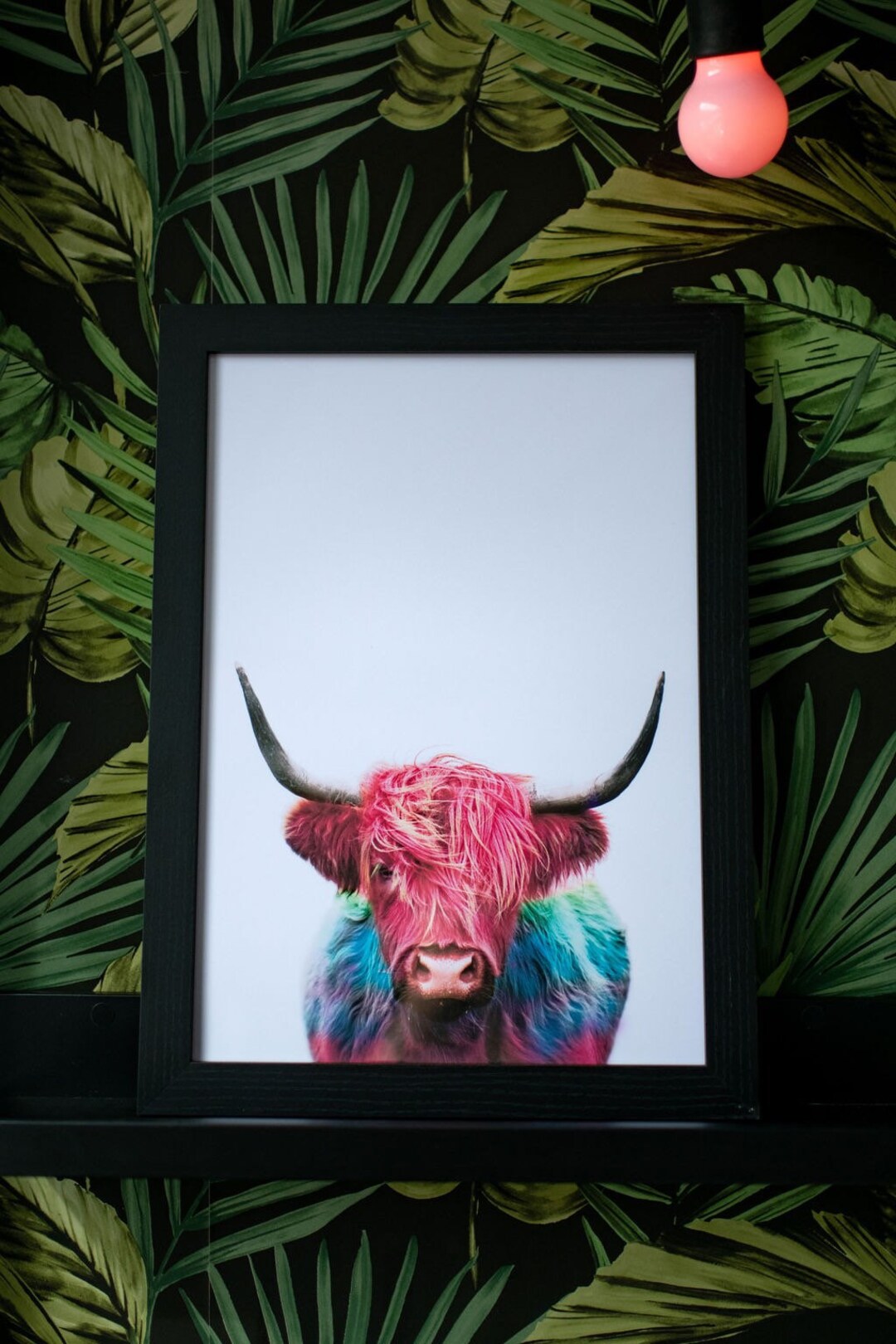 Cow Prints, Rainbow Prints, Highland Cow, Cool Prints, Cool Wall Art ...