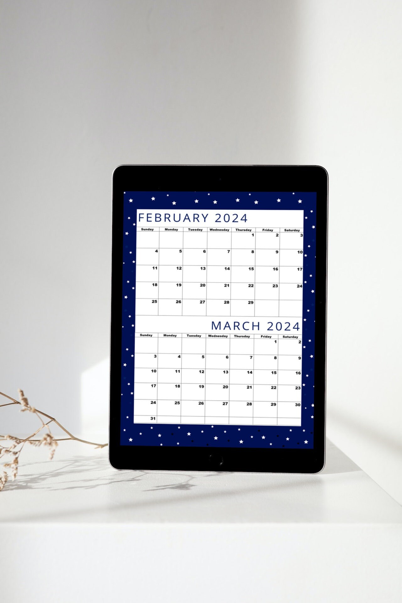 February 2024 Calendar,March 2024 Calendar,Cool Navy, Feb Mar 2024 ...