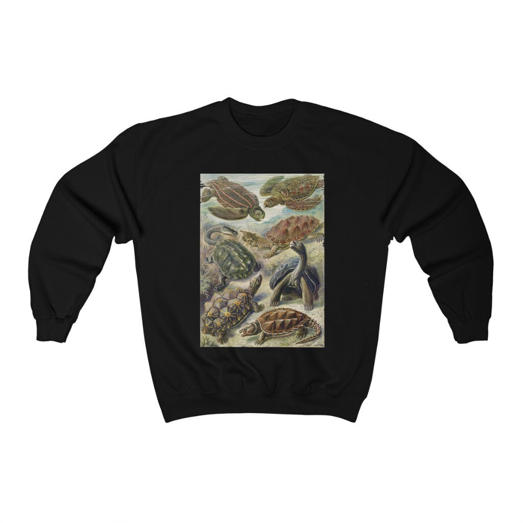 Turtle Sweatshirt, Cute Turtle Shirt, Turtle Gift, Turtle Lover Gifts ...