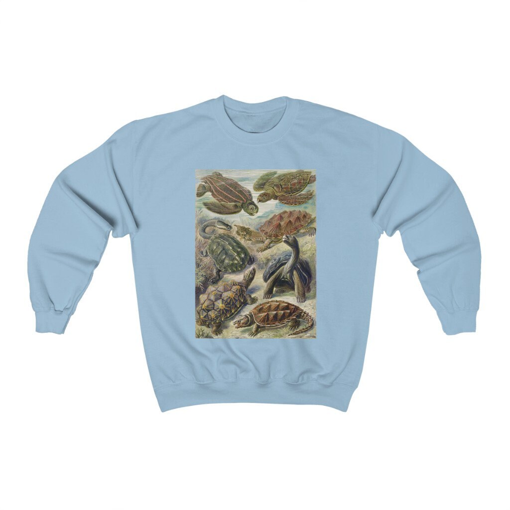 Turtle Sweatshirt, Cute Turtle Shirt, Turtle Gift, Turtle Lover Gifts ...