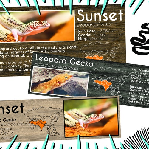 Leopard Gecko Glitter Sticker - Etsy