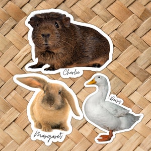 Custom Pet 12 Sticker Bundle, Sticker From Photo, Personalized Pet Gift ...
