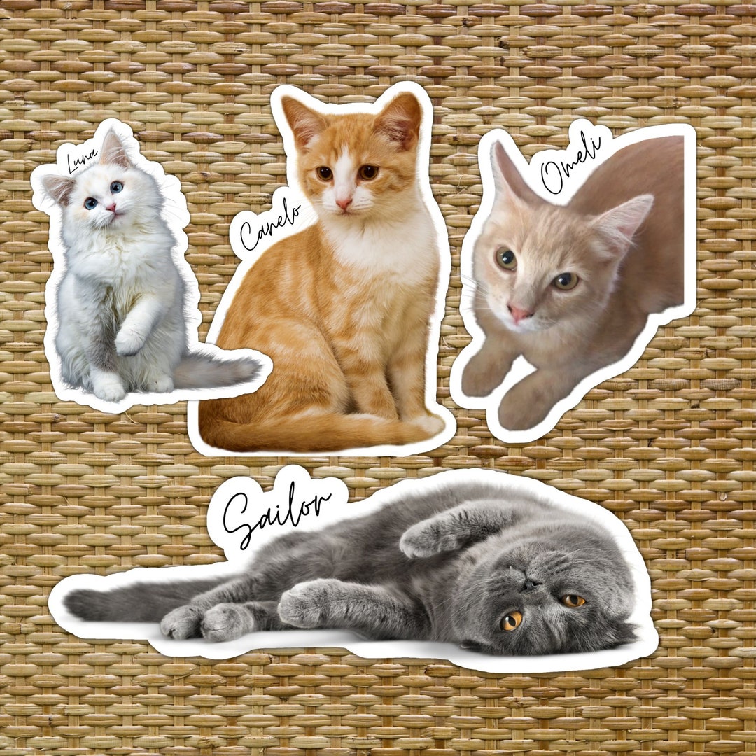 12 Pet Stickers, Custom Cat Sticker From Photo, Personalized Dog Decal ...