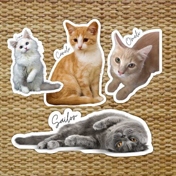 12 Pet Stickers Custom Cat Sticker From Photo Personalized - Etsy