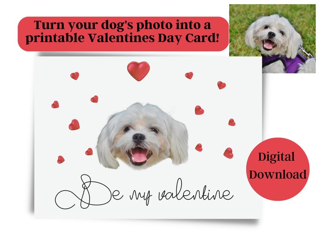 Custom Valentines Day Card With Dog, Pet in Personalized Valentine Card ...