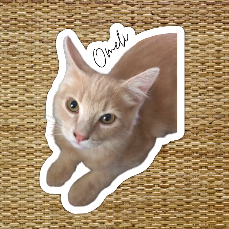 12 Pet Stickers Custom Cat Sticker From Photo Personalized - Etsy