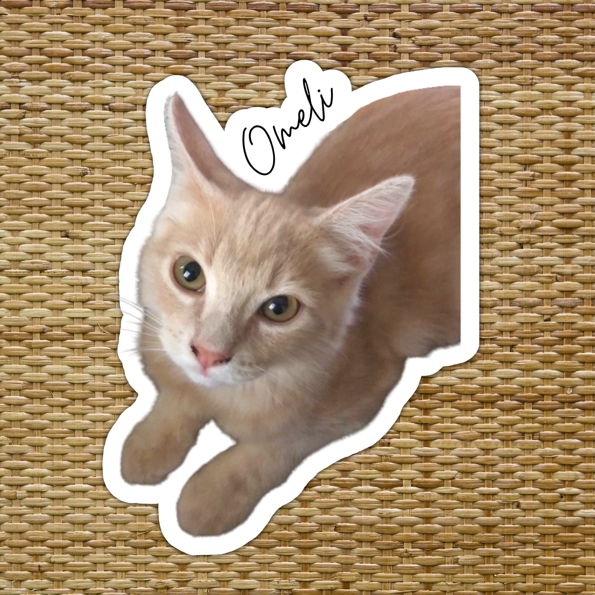 12 Pet Stickers Custom Cat Sticker From Photo Personalized - Etsy