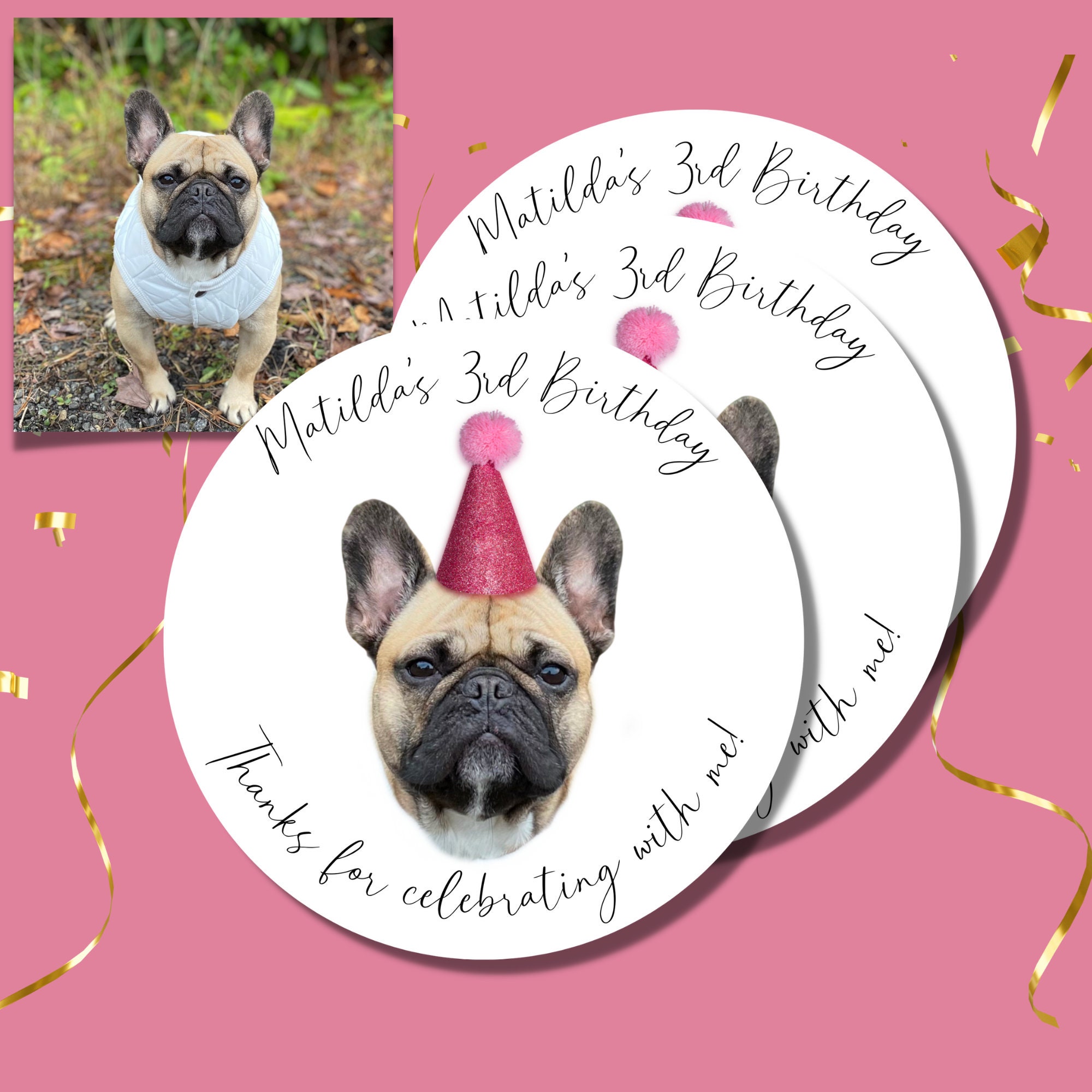 Dog Birthday Stickers Dog Party Favor Customized Dog Sticker - Etsy