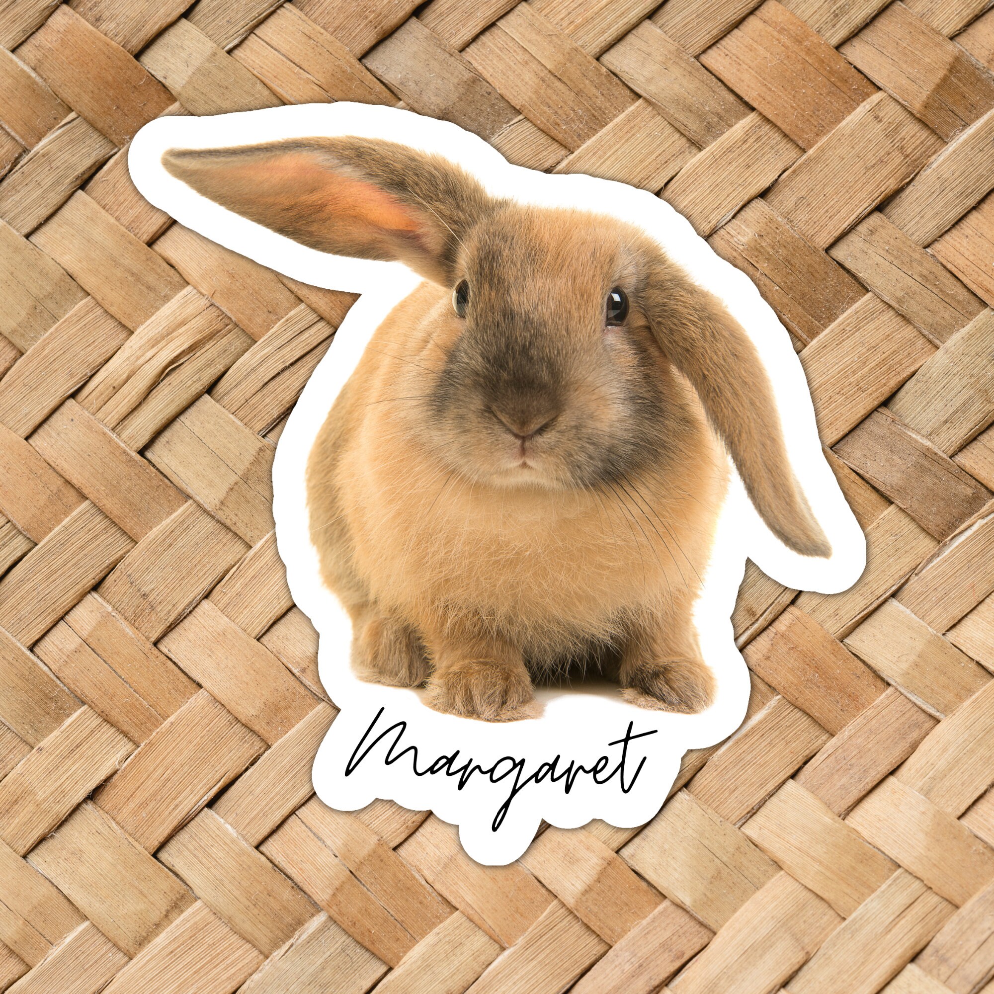 Custom Pet 12 Sticker Bundle Sticker From Photo Personalized - Etsy