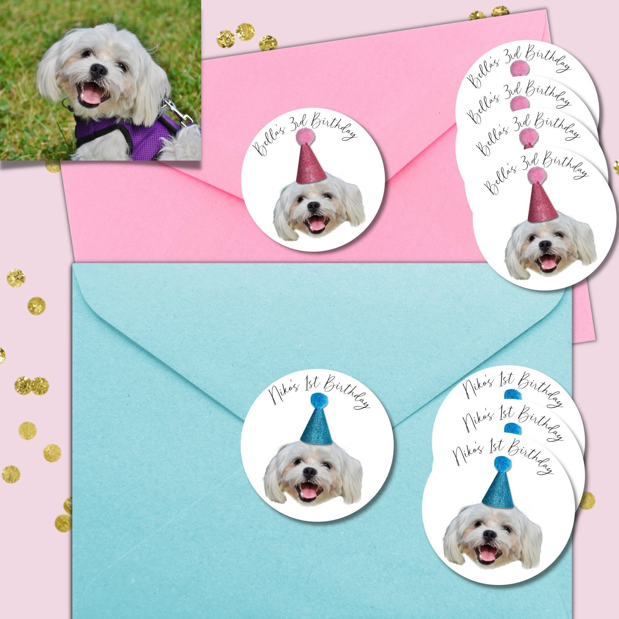 Dog Birthday Stickers Dog Party Favor Customized Dog Sticker - Etsy