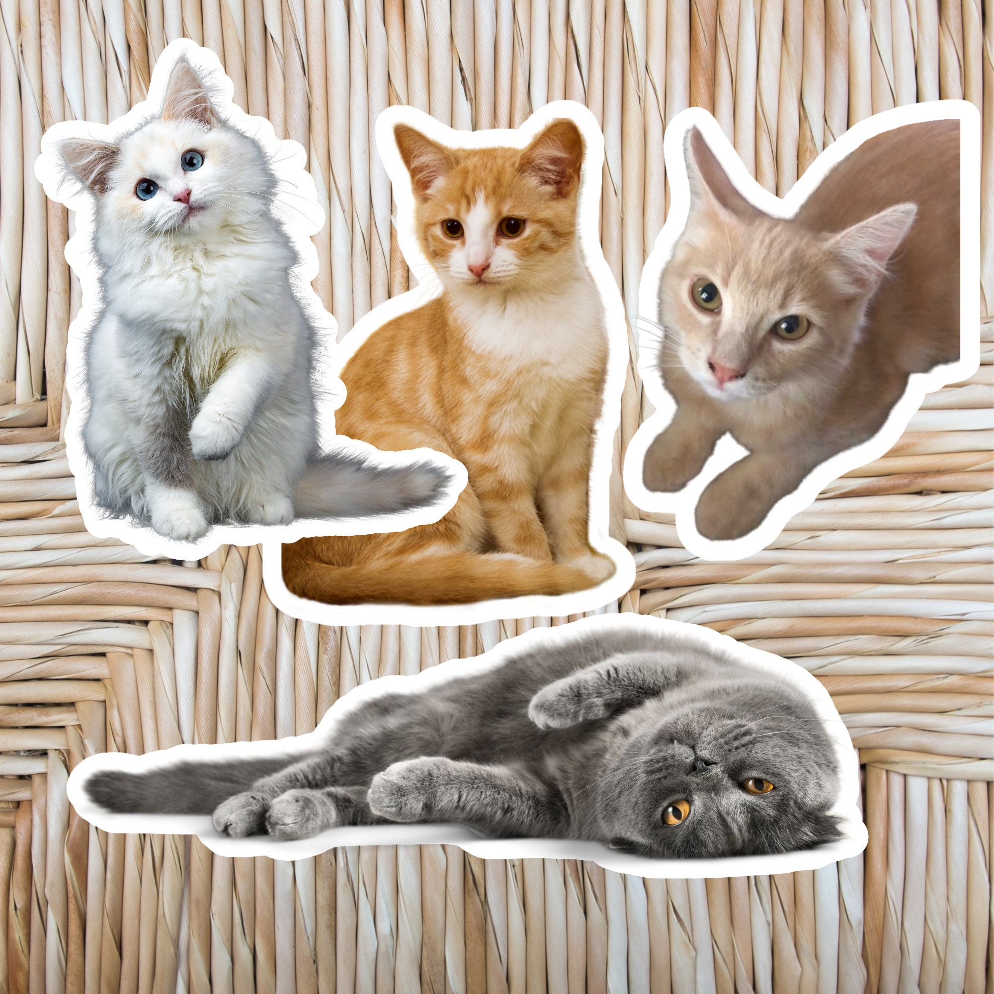 Custom Pet 12 Sticker Bundle Sticker From Photo Personalized - Etsy