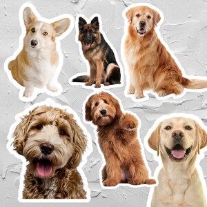 Custom Pet 12 Sticker Bundle, Sticker From Photo, Personalized Pet Gift ...