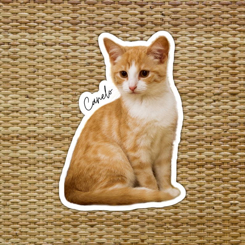 12 Pet Stickers Custom Cat Sticker From Photo Personalized - Etsy