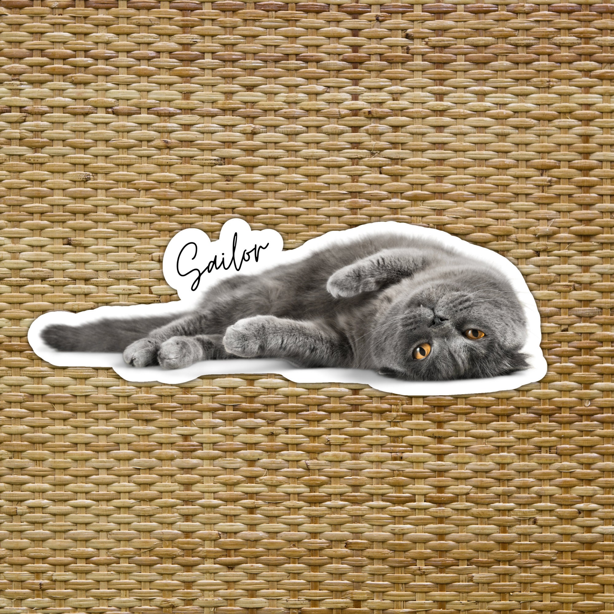 12 Pet Stickers Custom Cat Sticker From Photo Personalized - Etsy