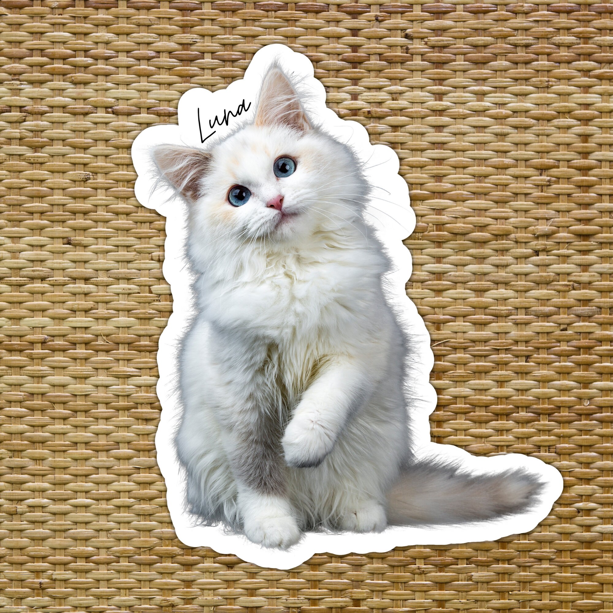 12 Pet Stickers Custom Cat Sticker From Photo Personalized - Etsy
