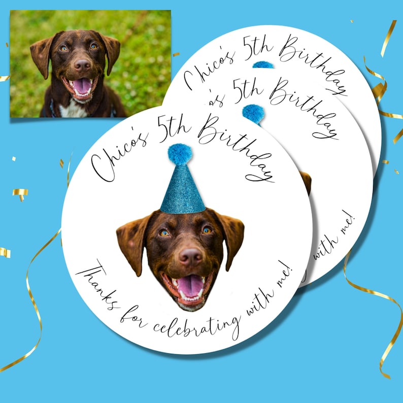 Dog Birthday Stickers Dog Party Favor Customized Dog Sticker - Etsy